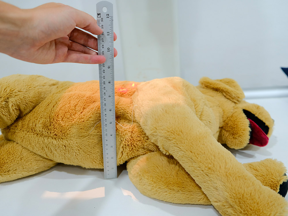 Figure 2 — Patient depth is measured in a model patient.