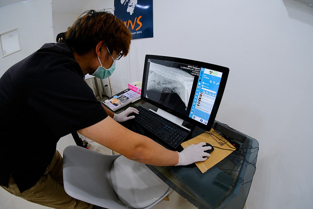 Figure 1 — A clinician viewing a digital radiograph