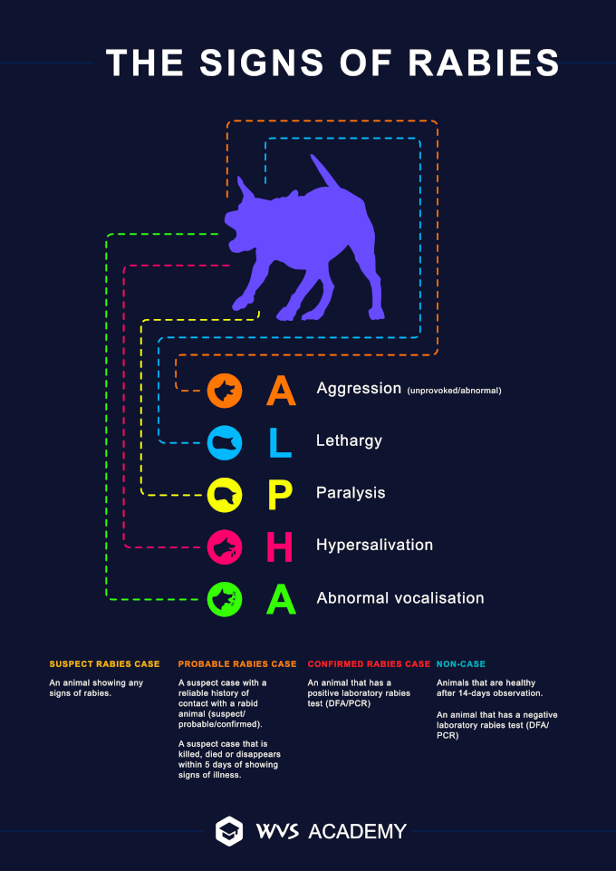 The signs of Rabies.
